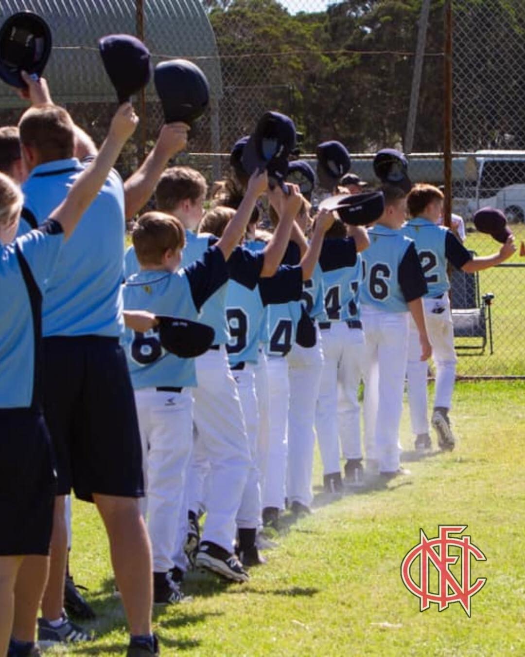 Timberjacks Registration – Far North Coast Baseball Association