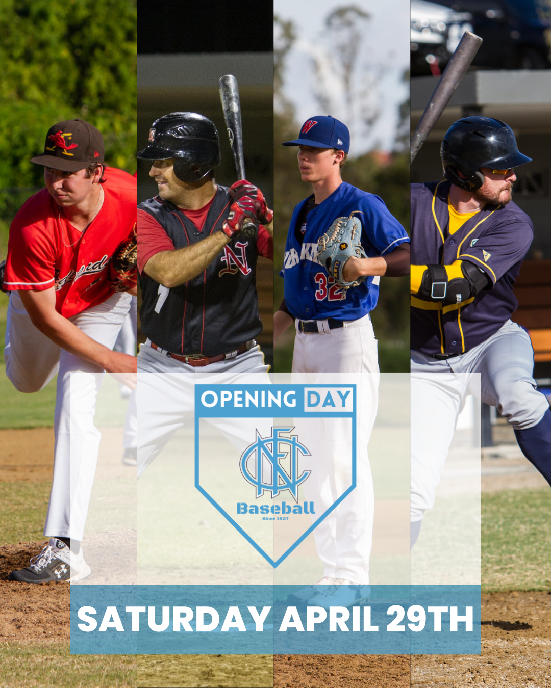 Far North Coast Baseball Association – Home of The Timberjacks since 1937